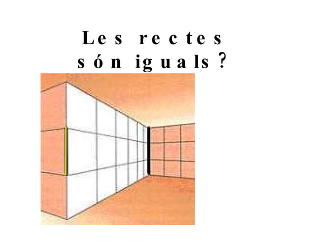 Illusions Optiques | PPT