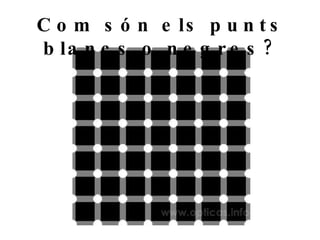 Illusions Optiques | PPT