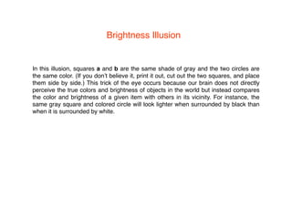 Illusions v2 | PDF