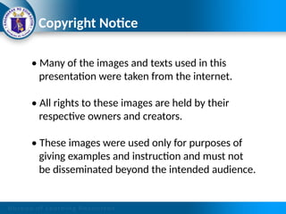 Guidelines in artworks and Illustration in | PPT