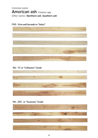 Illustrated Grading Guide | PDF