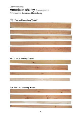 Illustrated Grading Guide | PDF