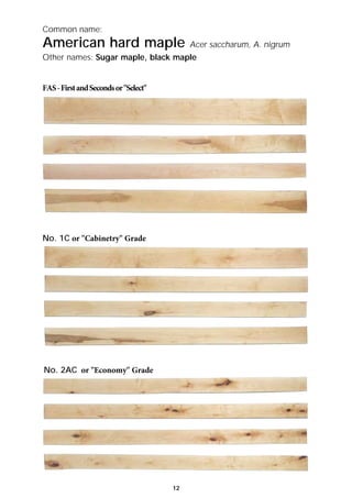 Illustrated Grading Guide | PDF