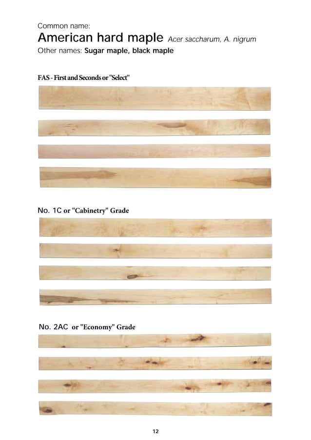 Illustrated Grading Guide | PDF