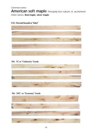 Illustrated Grading Guide | PDF