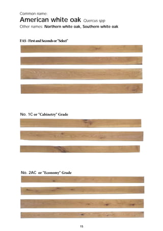 Illustrated Grading Guide | PDF