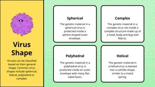 Illustrated Bacteria and Viruses for Elementary.pptx