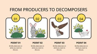 Illustrated Food Webs for Elementary.pptx