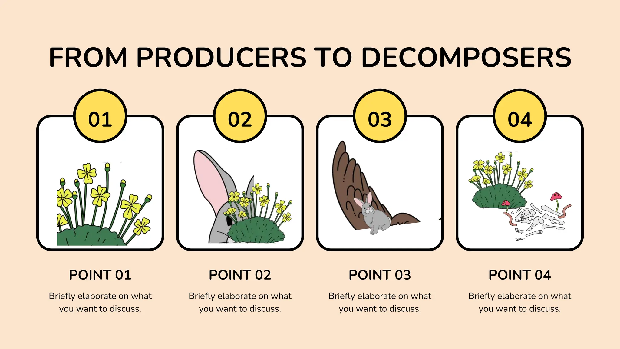 Illustrated Food Webs for Elementary Presentation.pptx