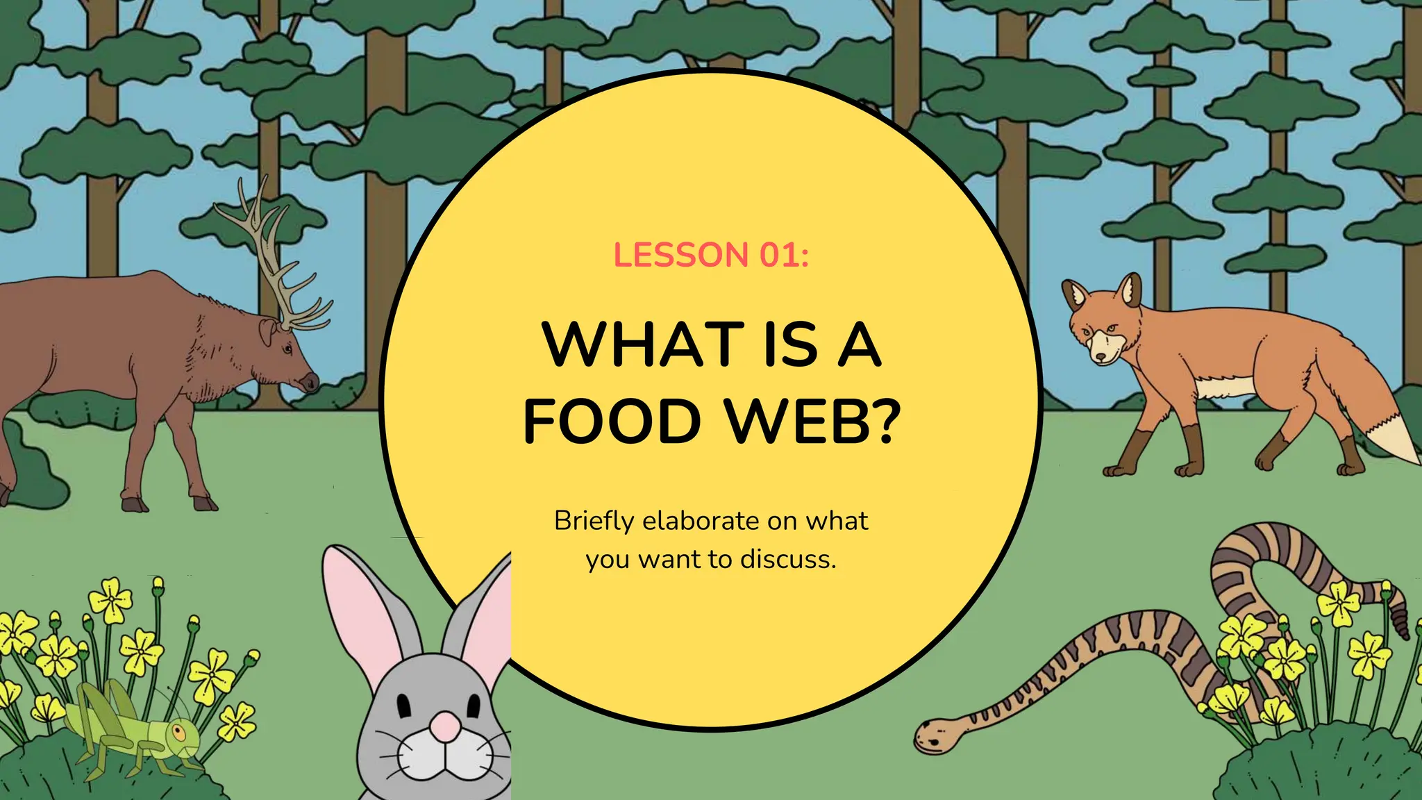 Illustrated Food Webs for Elementary Presentation.pptx