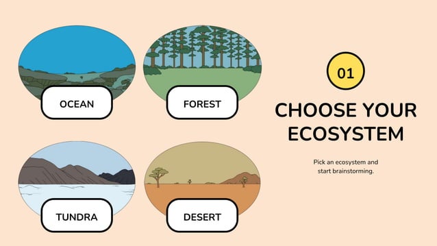 Illustrated Food Webs for Elementary Presentation.pptx
