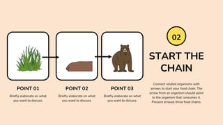 Illustrated Food Webs for Elementary Presentation.pptx