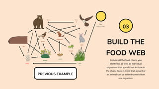 Illustrated Food Webs for Elementary Presentation.pptx