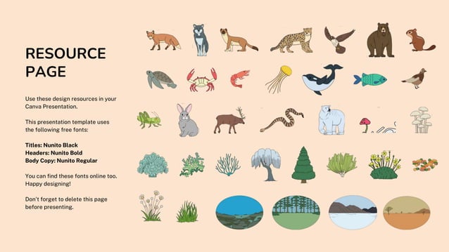 Illustrated Food Webs for Elementary Presentation.pptx