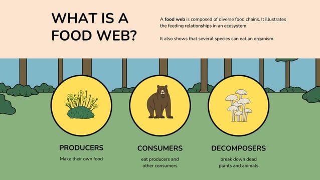 Illustrated Food Webs for Elementary Presentation.pptx