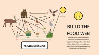Illustrated Food Webs for Elementary Presentation.pptx