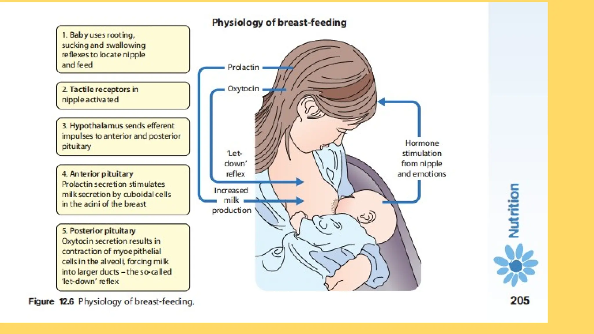 Illustrated Txtbk of pedia Nutrition pptx.pptx