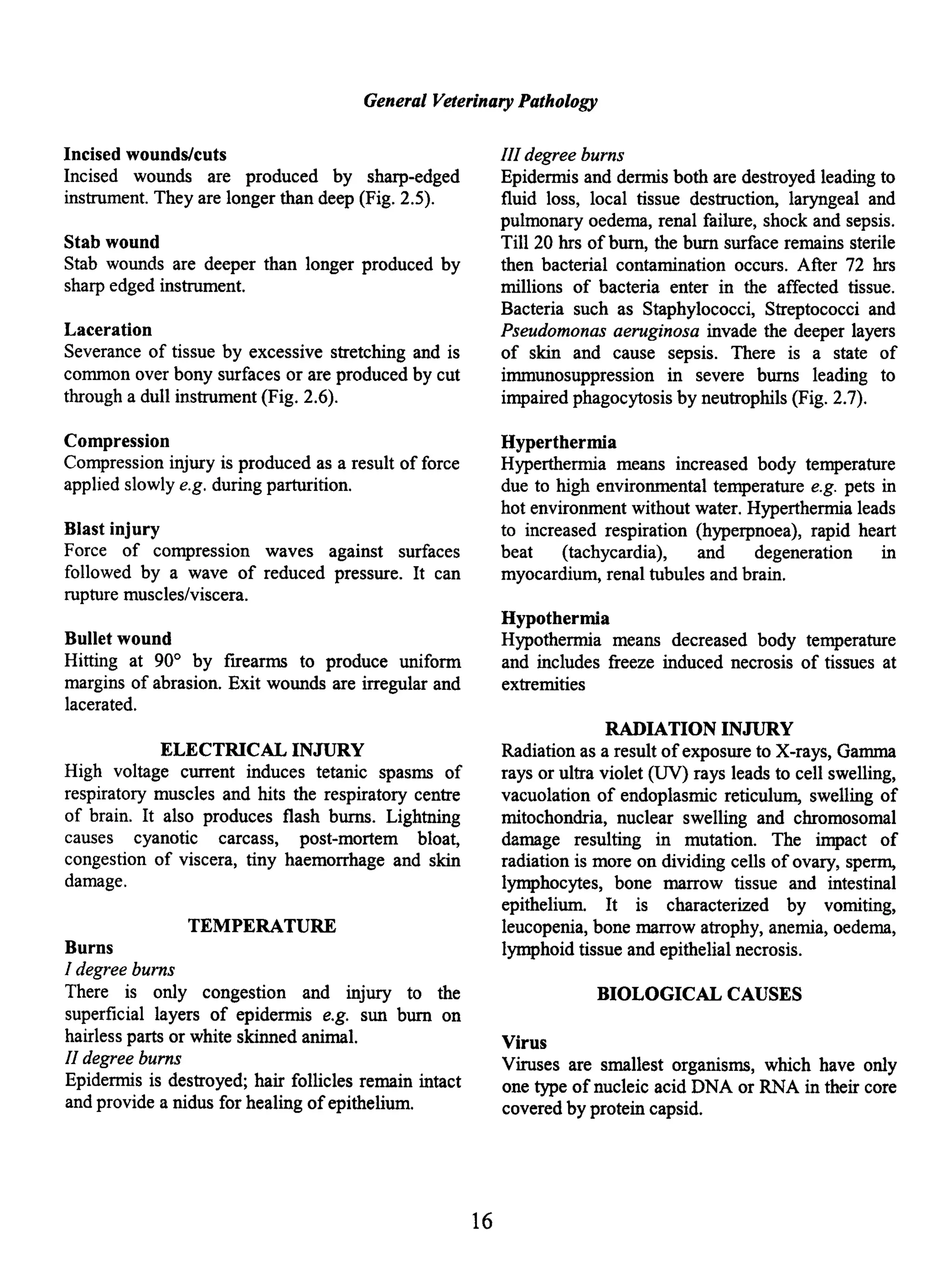 Illustrated veterinary pathology (General & systemic pathology) | PDF