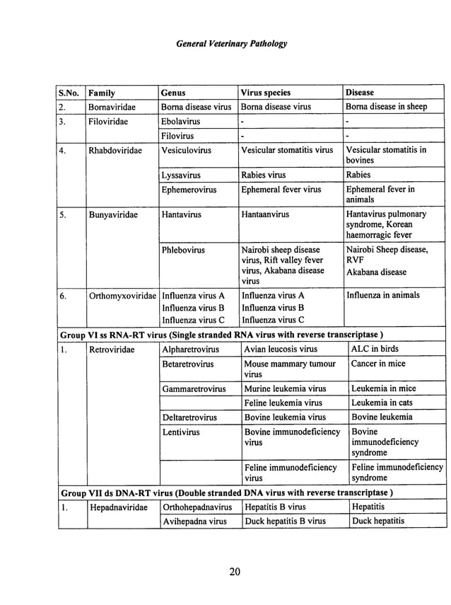 Illustrated veterinary pathology (General & systemic pathology) | PDF