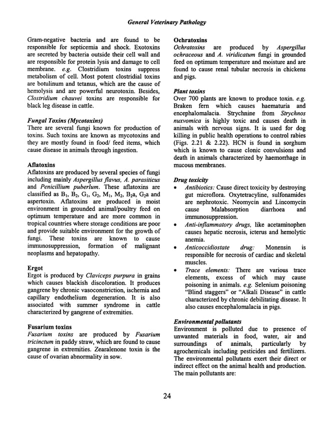 Illustrated veterinary pathology (General & systemic pathology) | PDF ...