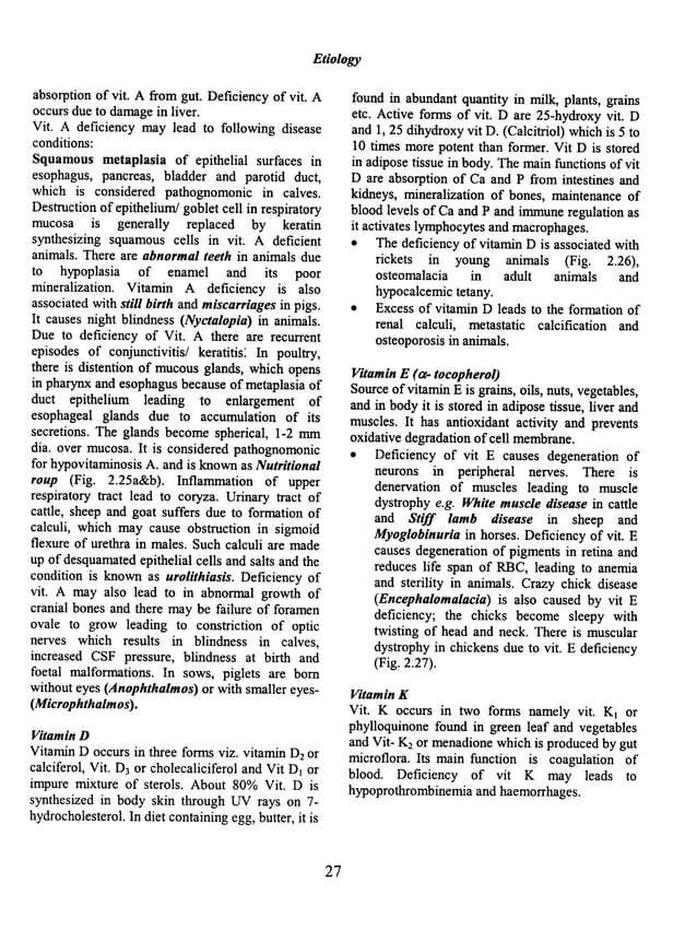 Illustrated veterinary pathology (General & systemic pathology) | PDF ...
