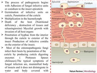 Illustrations drawings photos and captions in thessi wrting ssnaik tnau ...