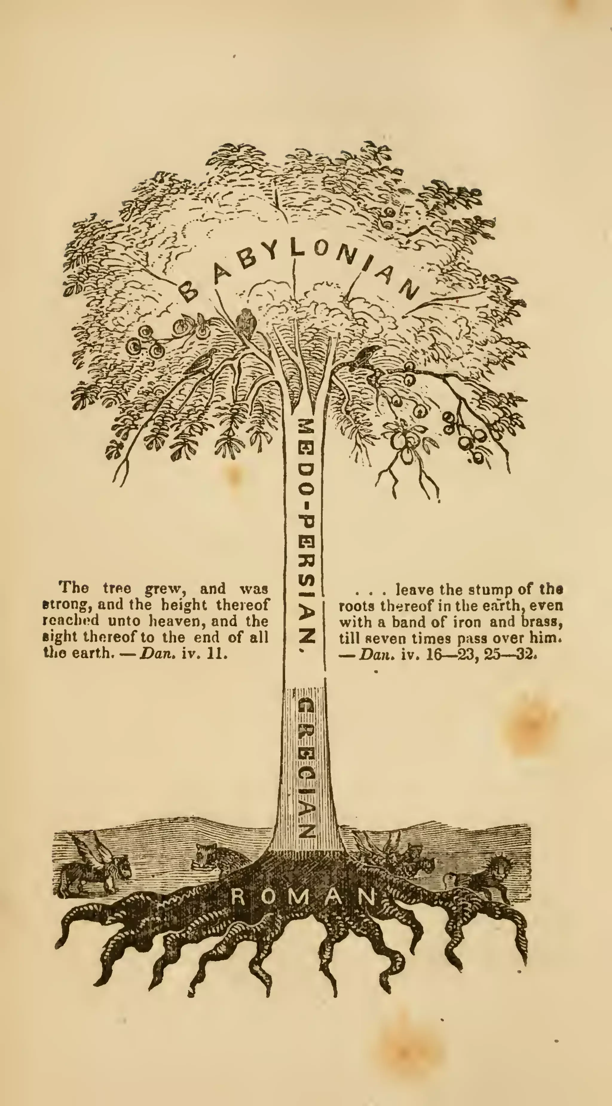 Illustrations of prophecy visions of daniel-and-the-apocalyptical ...