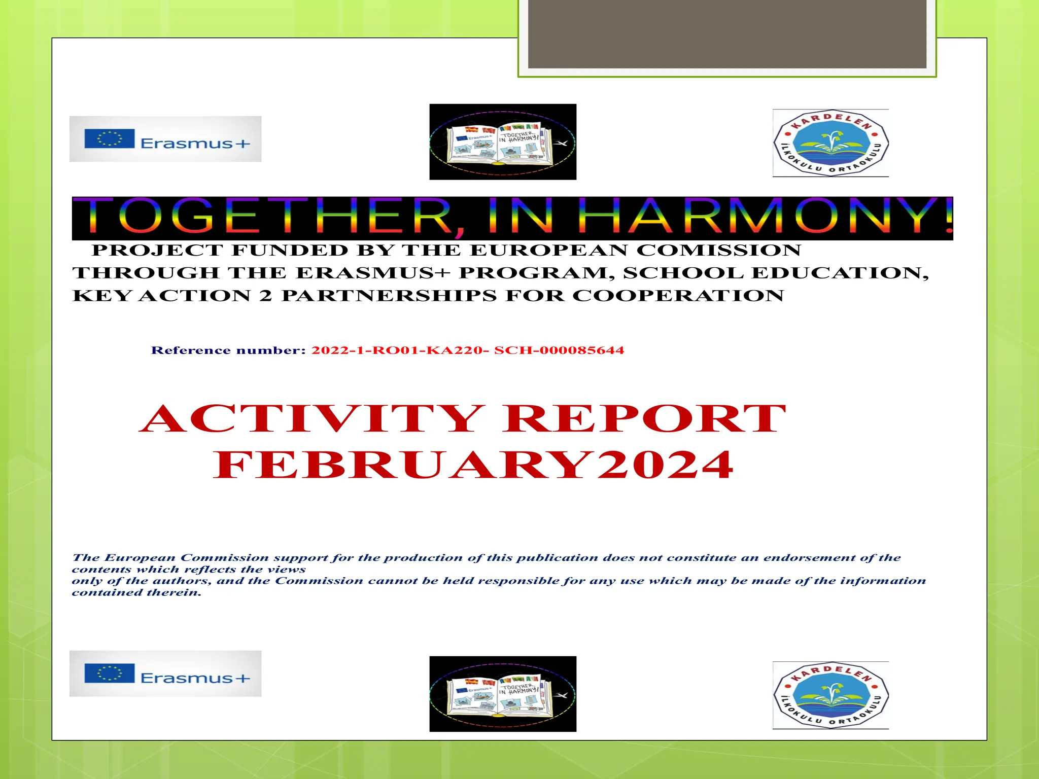 ILLUSTRATIVE ACTIVITY REPORT-FEBRUARY 2024 | PPT