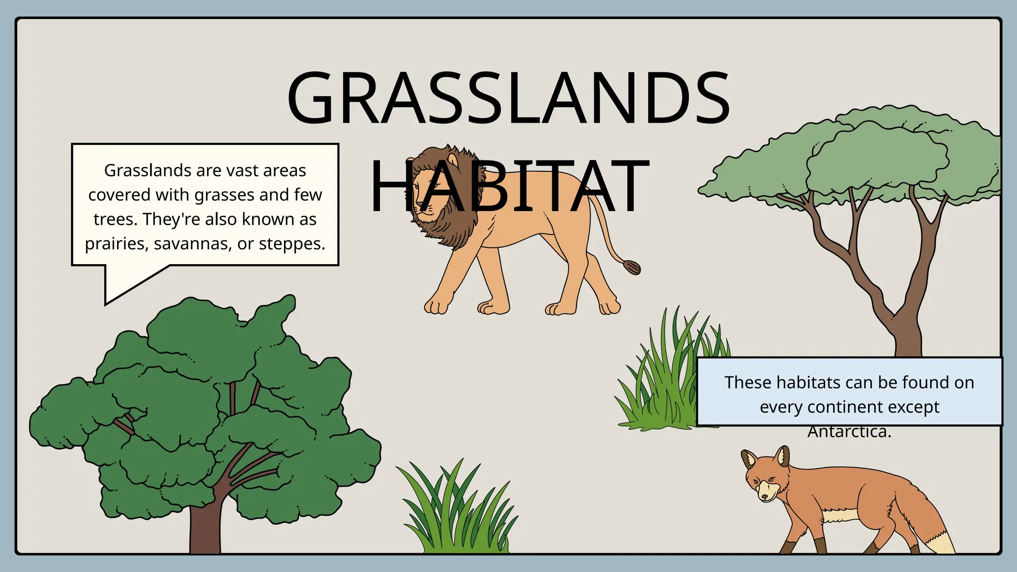 Illustrative Animal Habitats Lesson for Elementary.pptx