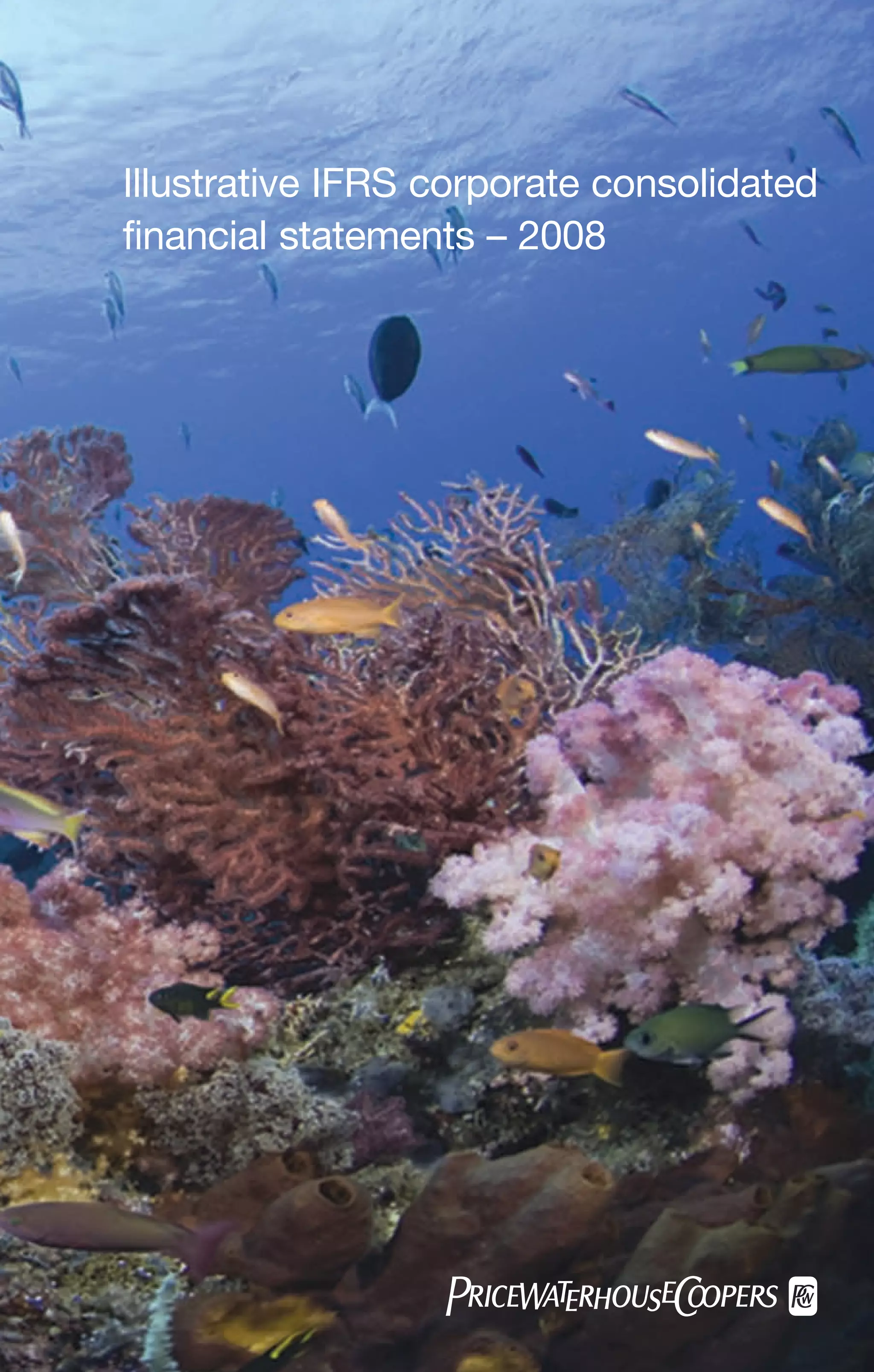 Illustrative Financial Statements Web Optimized | PDF