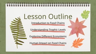 Illustrative Notebook Exploring the Circle of Life_ Food Chain Lesson ...