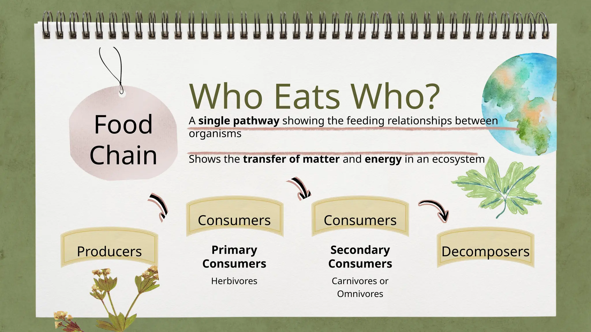 Illustrative zzzzxxNotebook Exploring the Circle of Life_ Food Chain ...