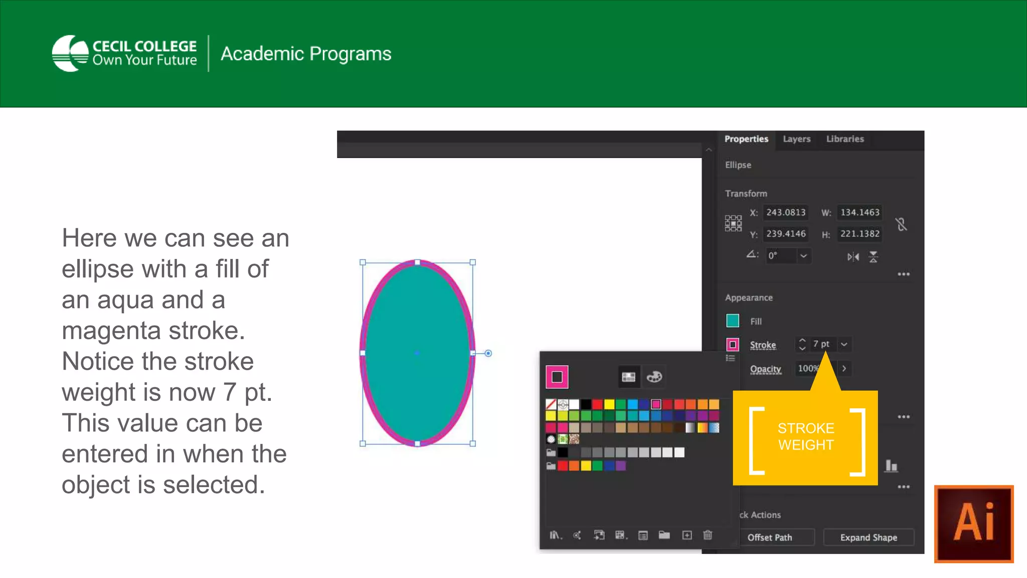 Illustrator's basic shapes part 1 | PPTX
