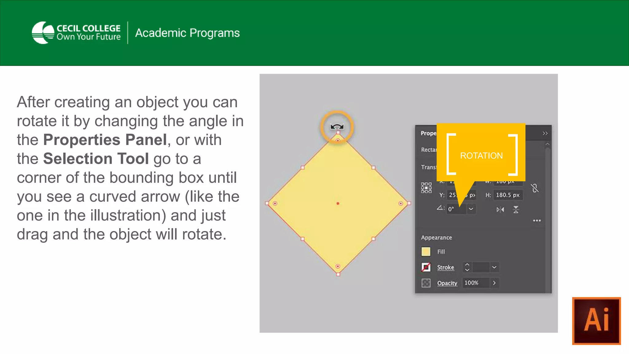 Illustrator's basic shapes part 1 | PPTX