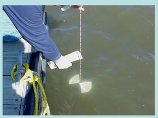 Ilma Lake Destratification With Venturi Type Eductor | PPT