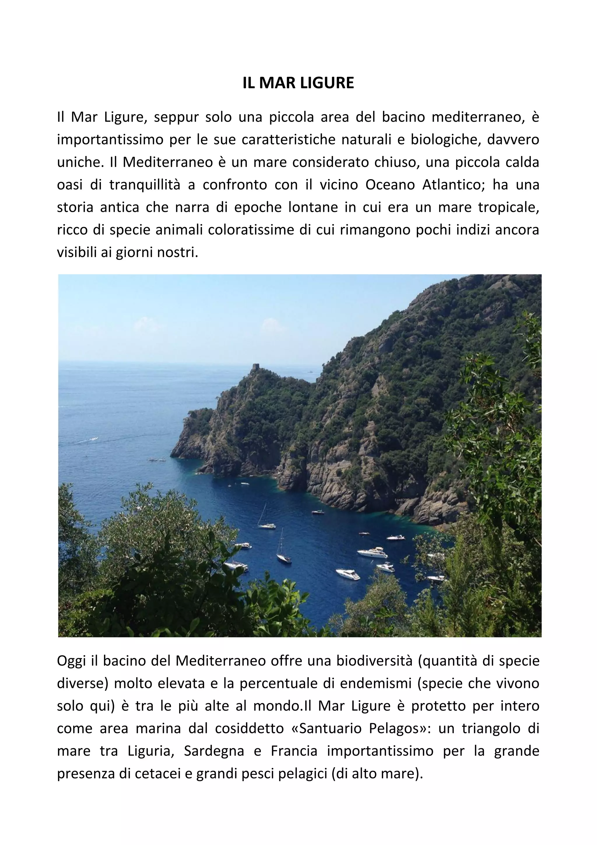 Il mar ligure | PDF