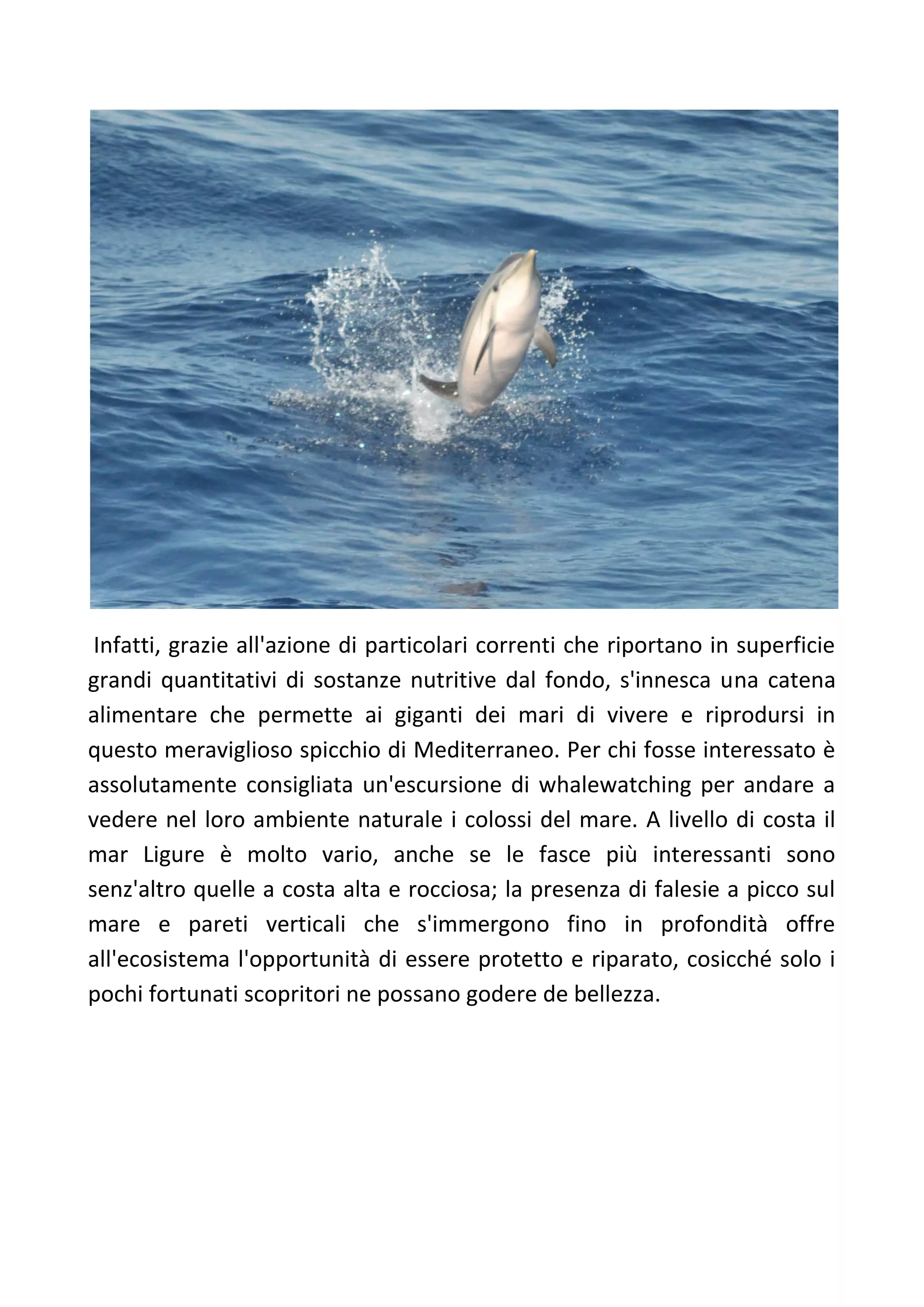Il mar ligure | PDF