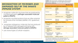 INNATE IMMUNITY.pptx