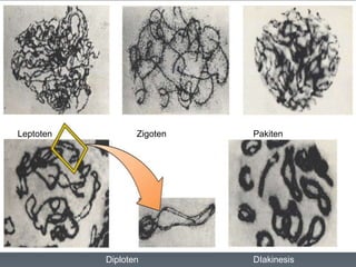 Ilmu alam dasar | PPT