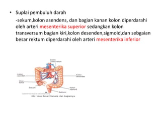 Ilmu bedah kolon | PPTX