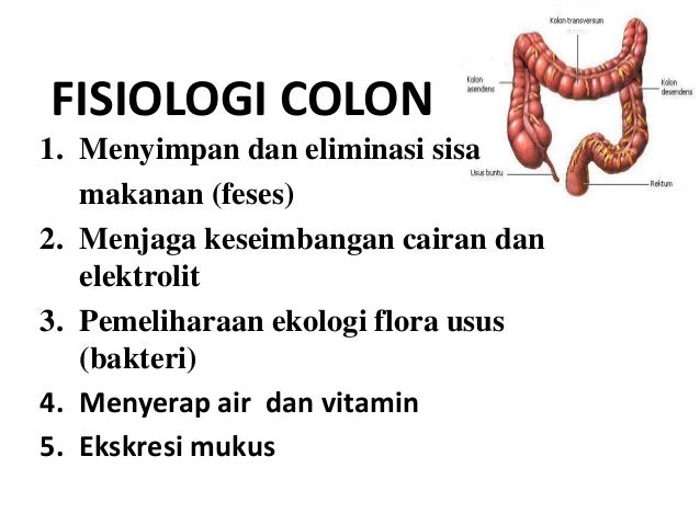 Ilmu bedah kolon