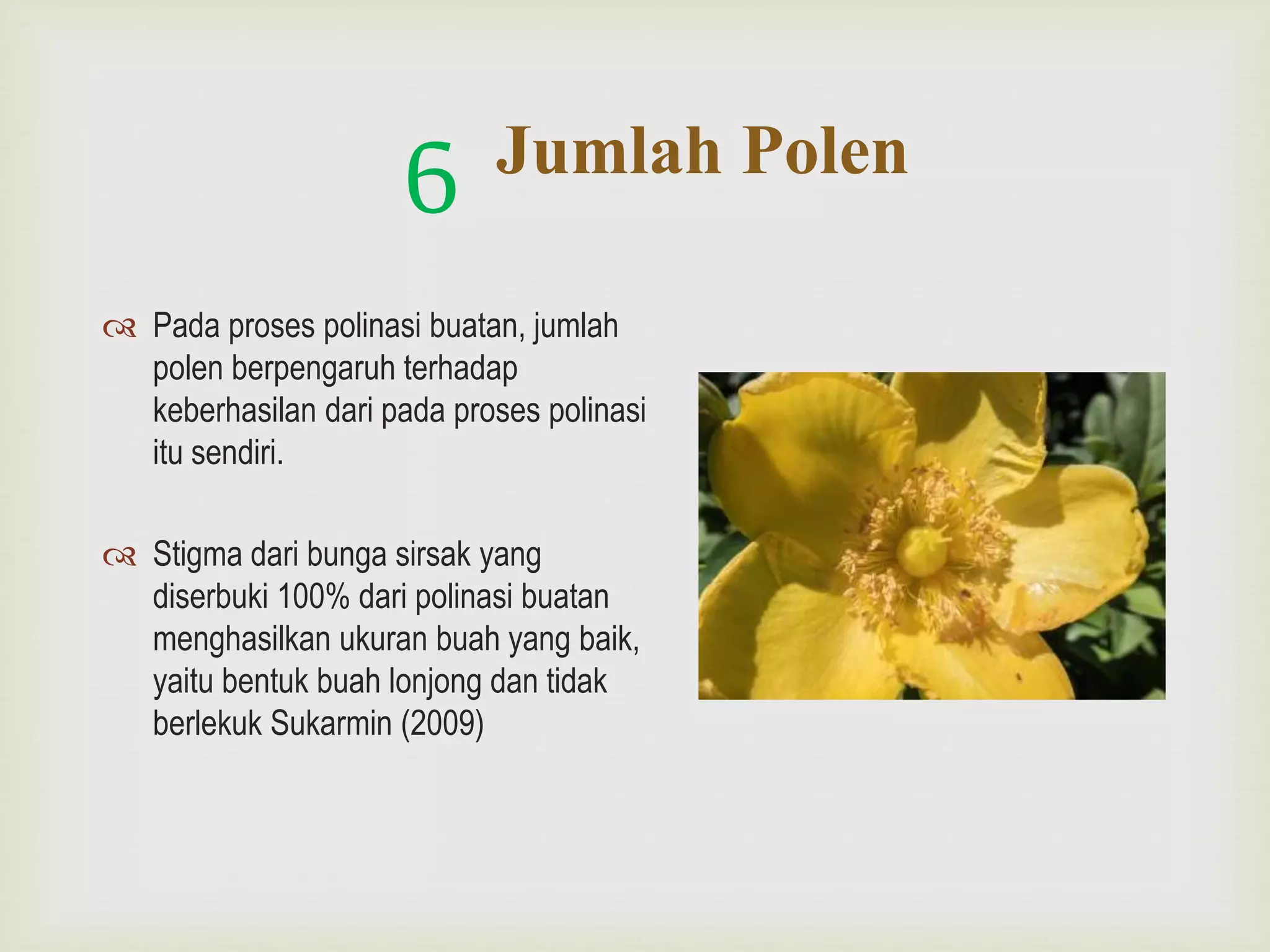 Ilmu biji_polinasi dan fertilisasi | PPTX