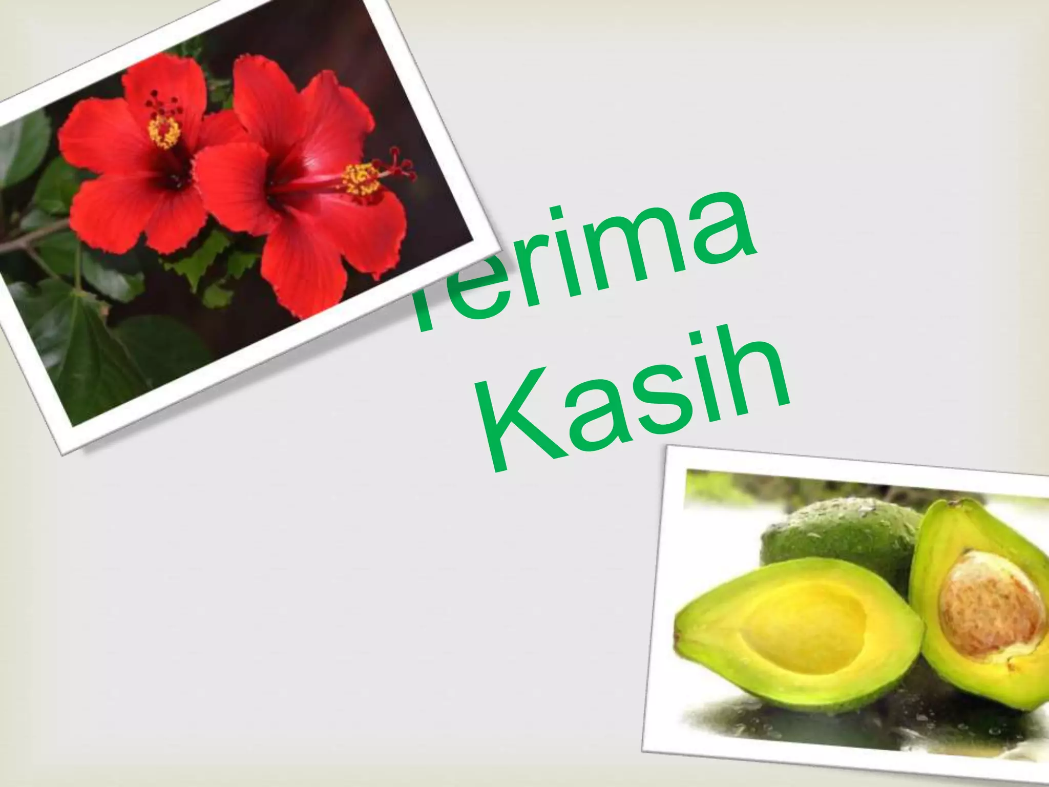 Ilmu biji_polinasi dan fertilisasi | PPTX