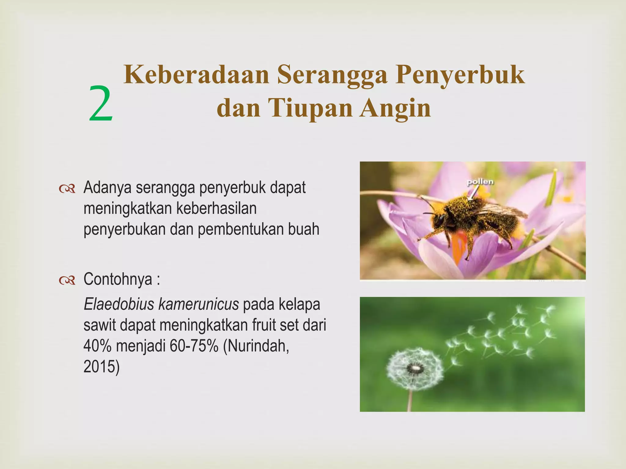 Ilmu biji_polinasi dan fertilisasi | PPTX