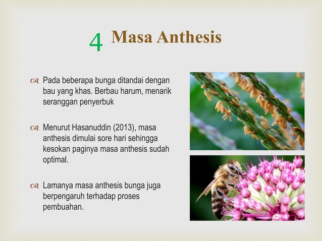 Ilmu biji_polinasi dan fertilisasi | PPTX