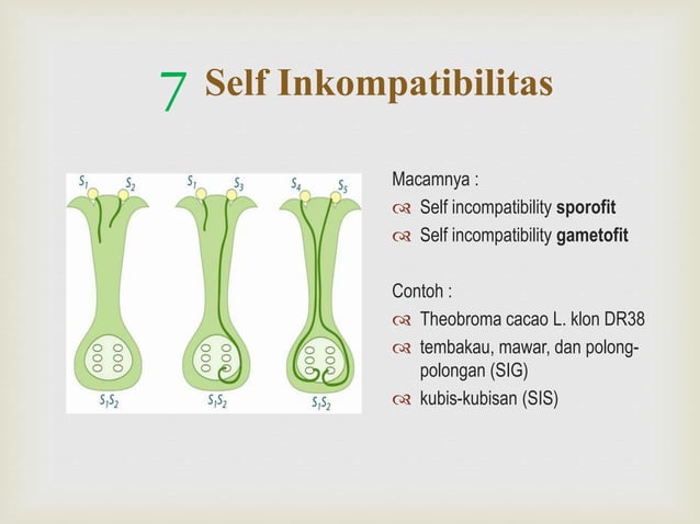 Ilmu biji_polinasi dan fertilisasi | PPTX
