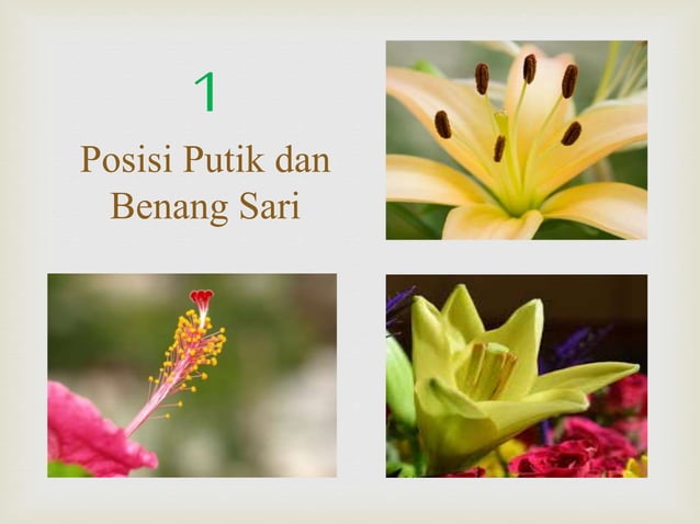 Ilmu biji_polinasi dan fertilisasi | PPTX