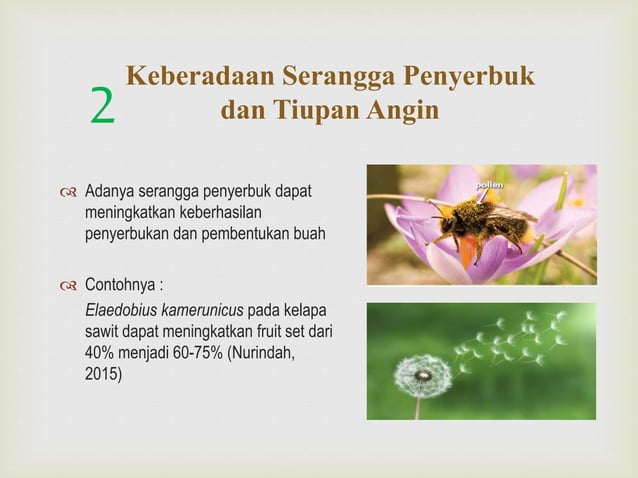 Ilmu biji_polinasi dan fertilisasi | PPTX