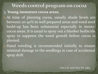 WEEDS CONTROL ON CACAO IN INDONESIA | PPT
