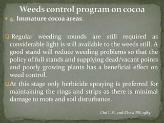 WEEDS CONTROL ON CACAO IN INDONESIA | PPT